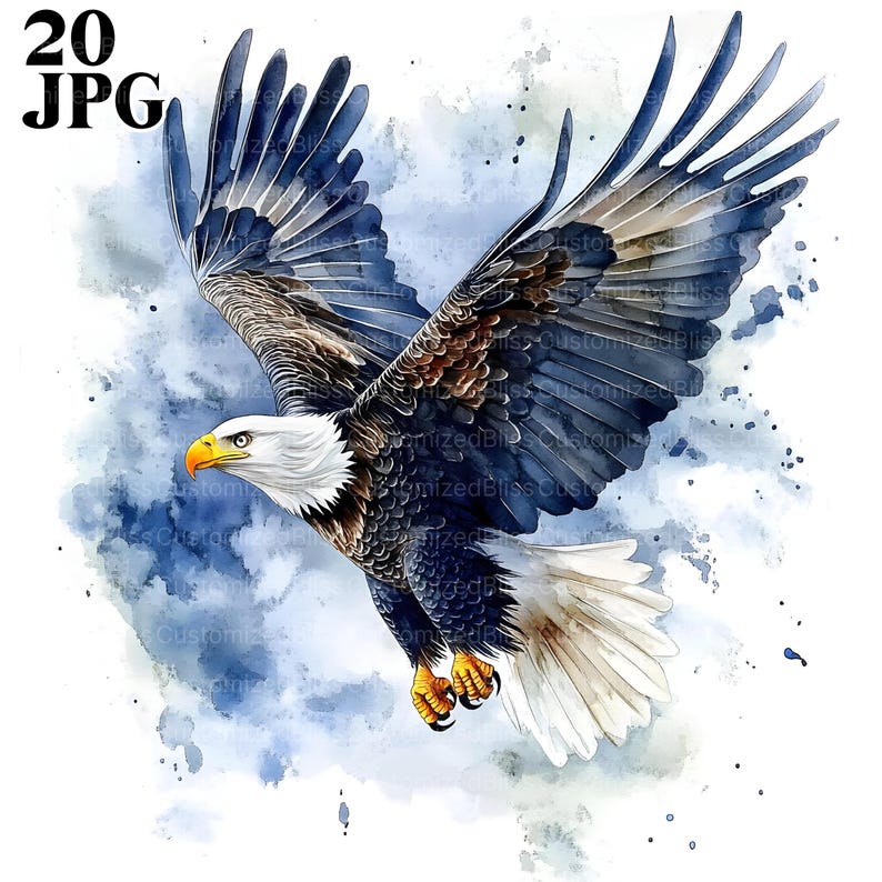 20 Eagle Clipart, Soaring Bald Eagles, Bird Clipart, High Quality Jpgs, Watercolor Clipart, Junk ...