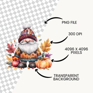 Fall Gnome Clipart Bundle, Autumn Gnome Clipart, Autumn Clipart, Cute ...