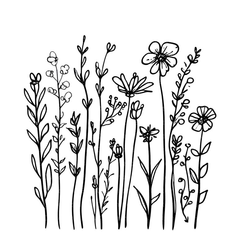 18 Doodle Wildflowers Clipart, Hand Drawn Flowers, Doodle Clipart ...