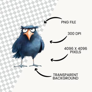 37 Crazy Raven Clip Art, Raven PNG, Funny Bird Clipart, Bird PNG ...