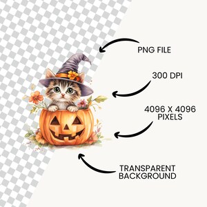 Halloween Cat Clipart Bundle, Halloween Cat Png, Halloween Clipart ...