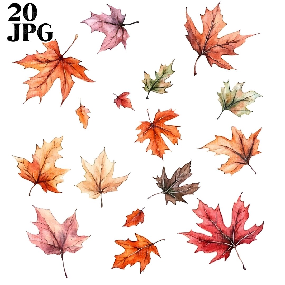 20 Falling Autumn Leaves Clipart, Autumn Clipart, Fall Clipart, Quality ...