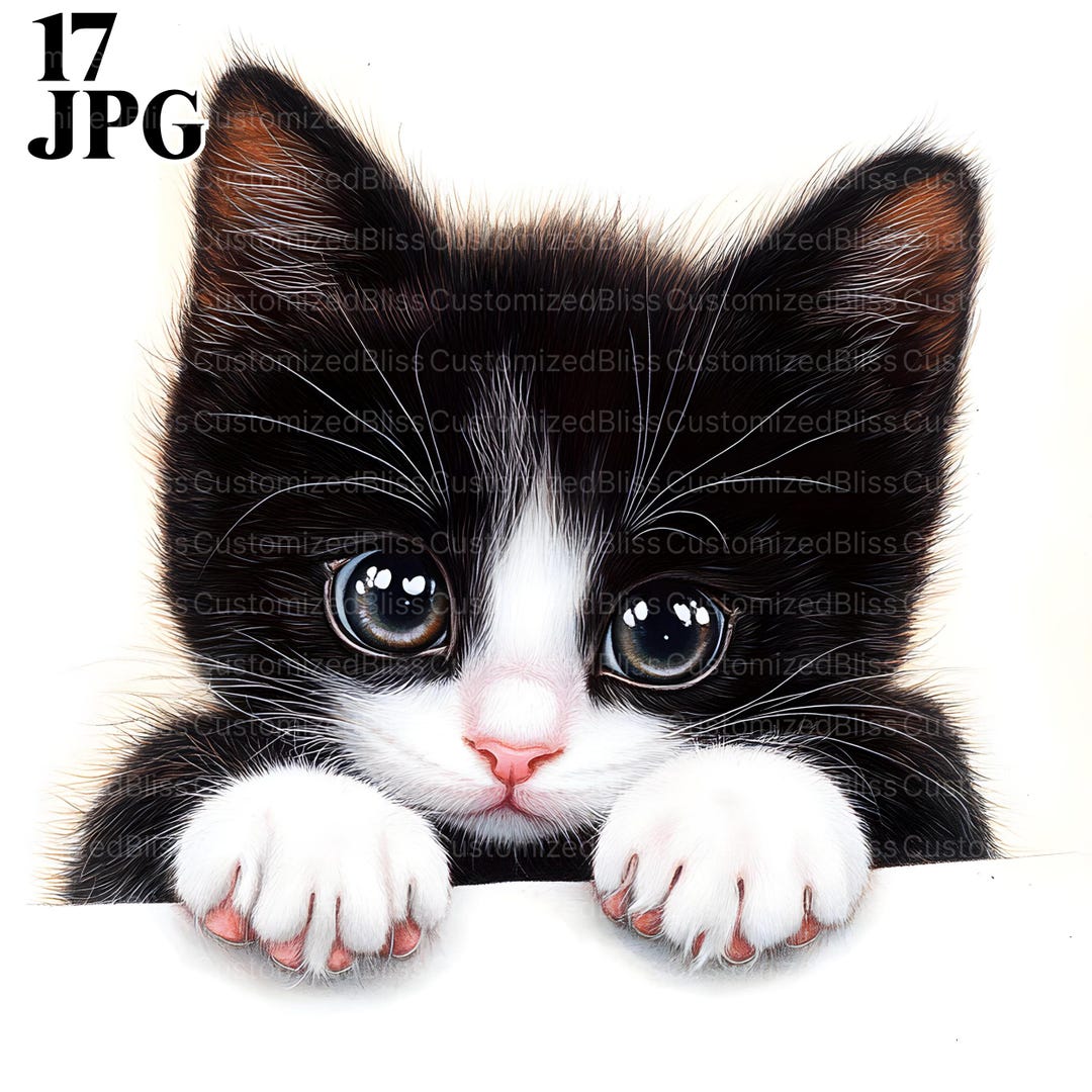 17 Cat Clipart, Kitten Clipart, Black and White Cat, Brown Cat ...