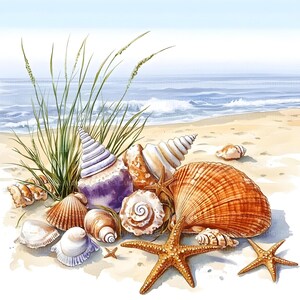 20 Tropical Beach Shells Clipart, Summer Clipart, High Quality JPG ...