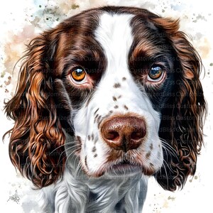 16 English Springer Spaniel Dog Clipart, Puppy Clipart, High Quality ...