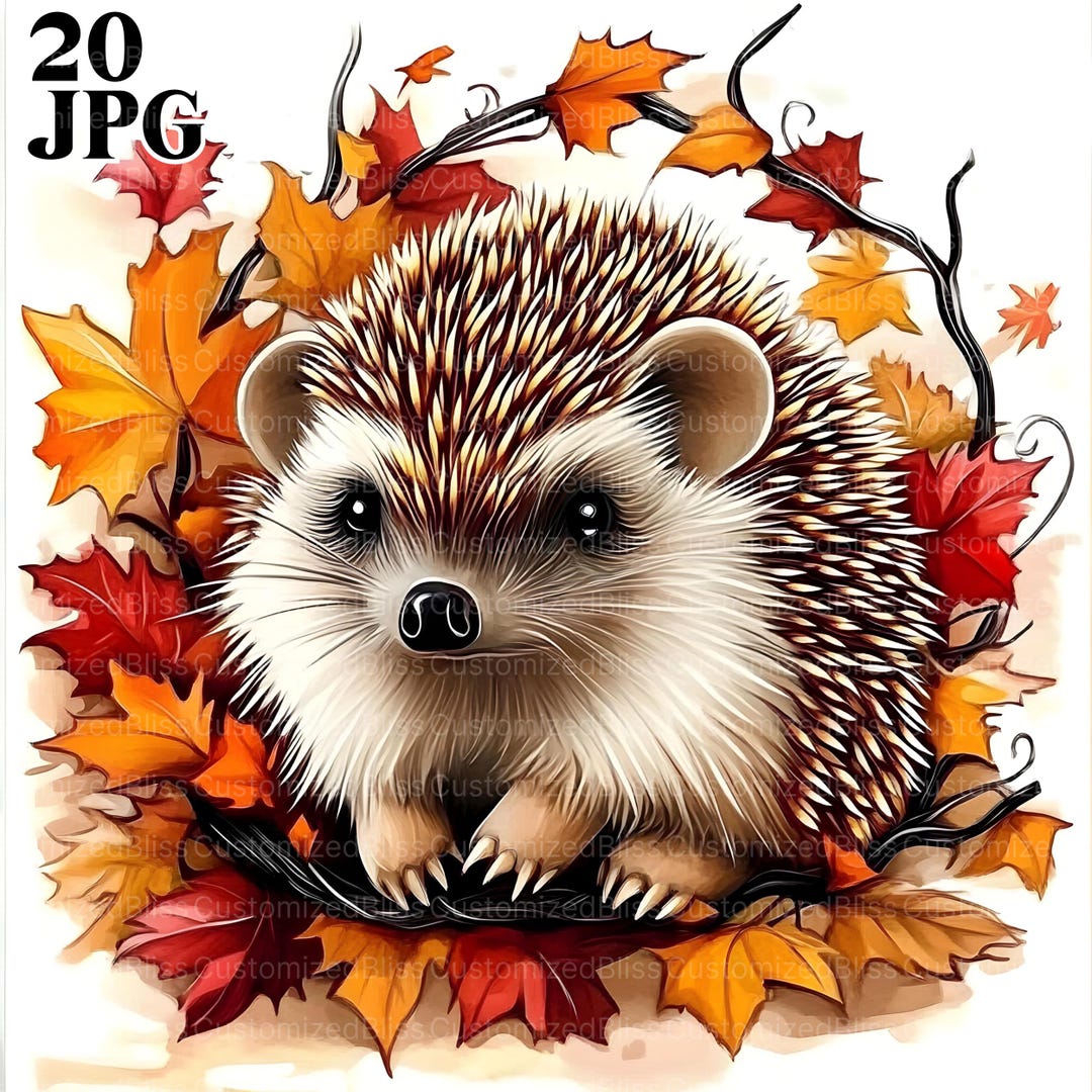 20 Autumn Hedgehog Clipart, Hedgehog Graphic, Hedgehog Design, Quality ...