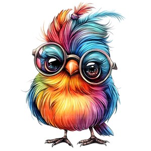14 Colorful Bird Clipart, Cute Bird, Rainbow Clipart, Cartoon Bird ...