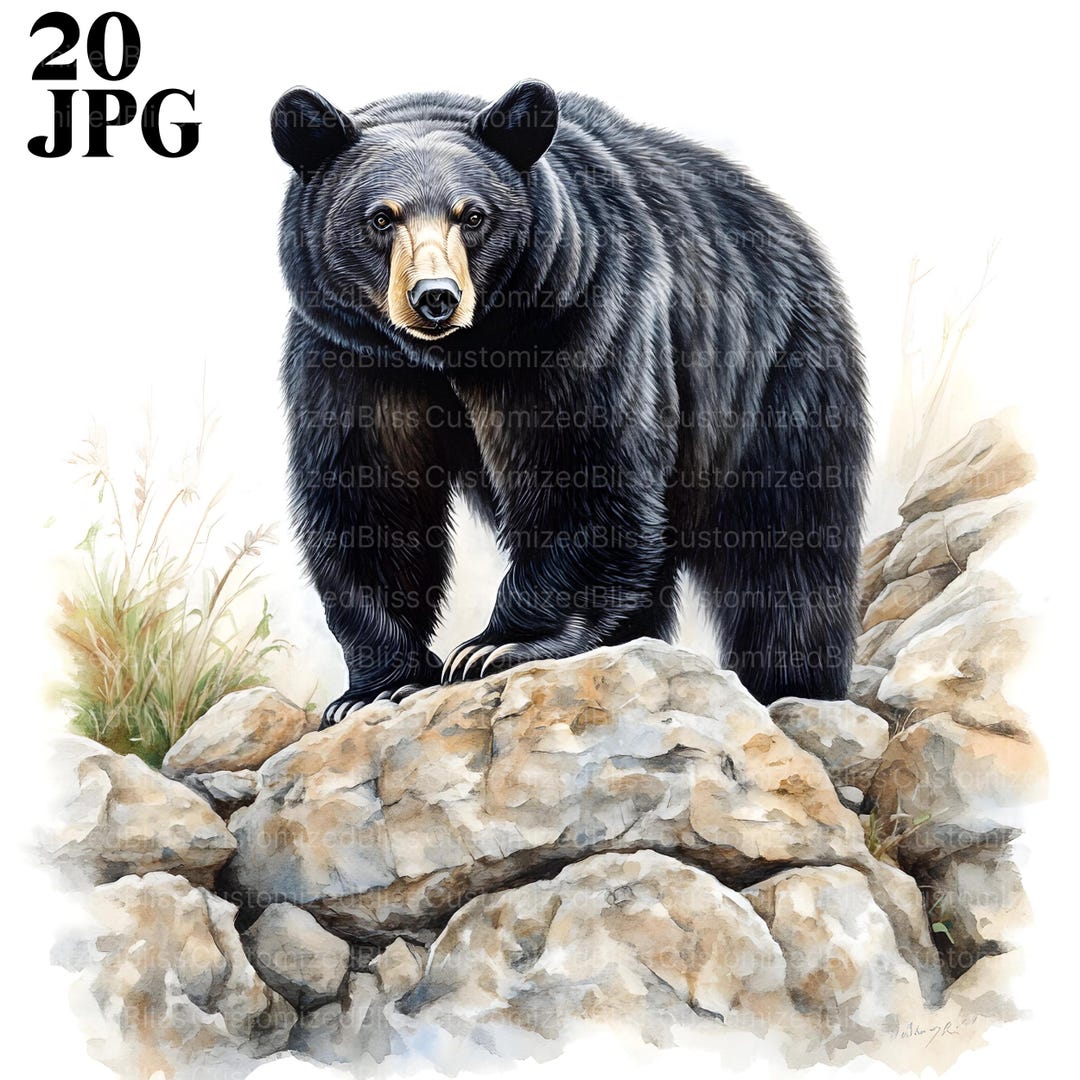 20 Black Bear Clipart, Bear Print, Nature Clipart, Animal Clipart, High ...