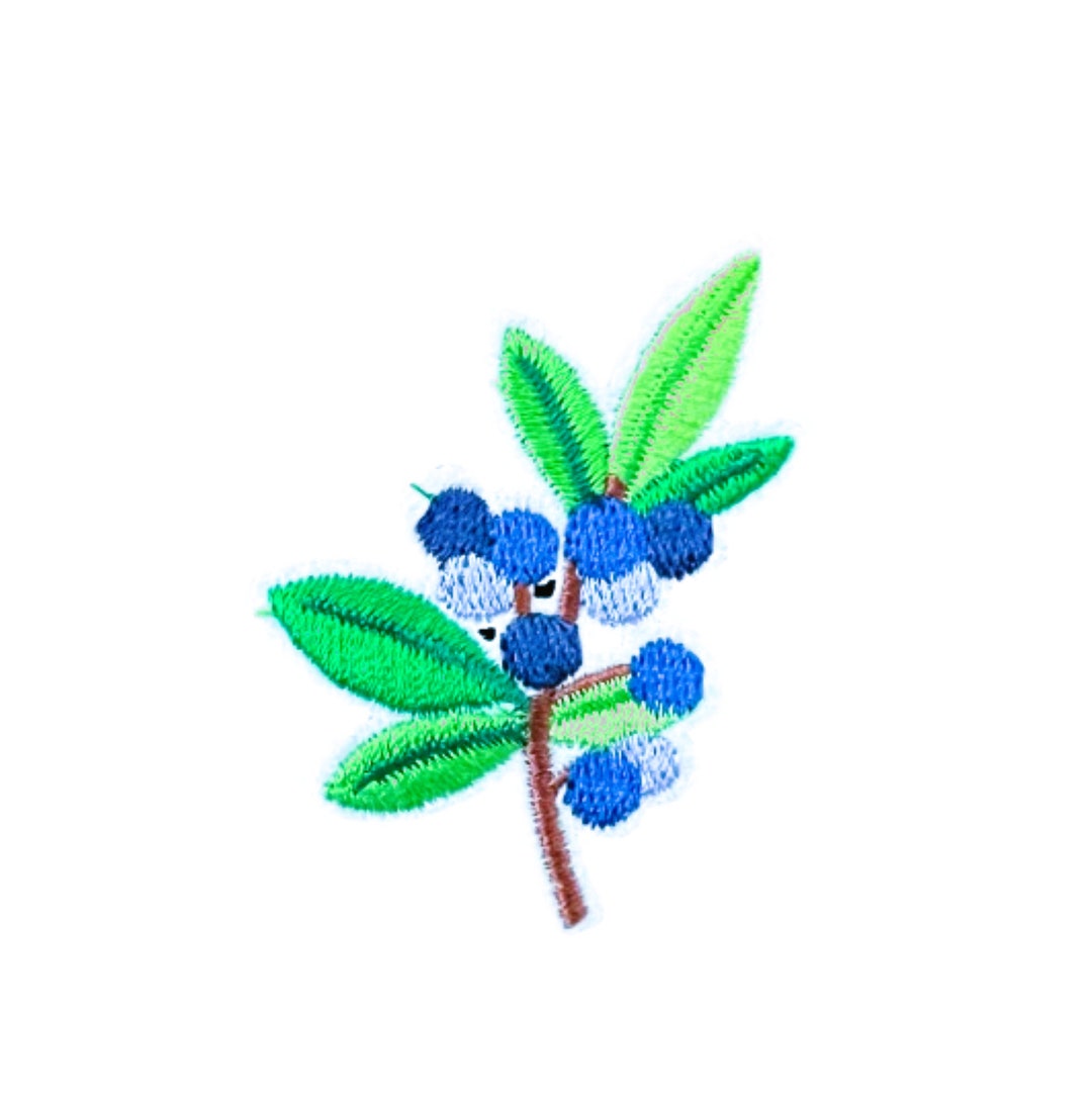 Leaf & Berry Iron-on Patch, Fruit Patches, Clothes Patches, Blue Berry ...