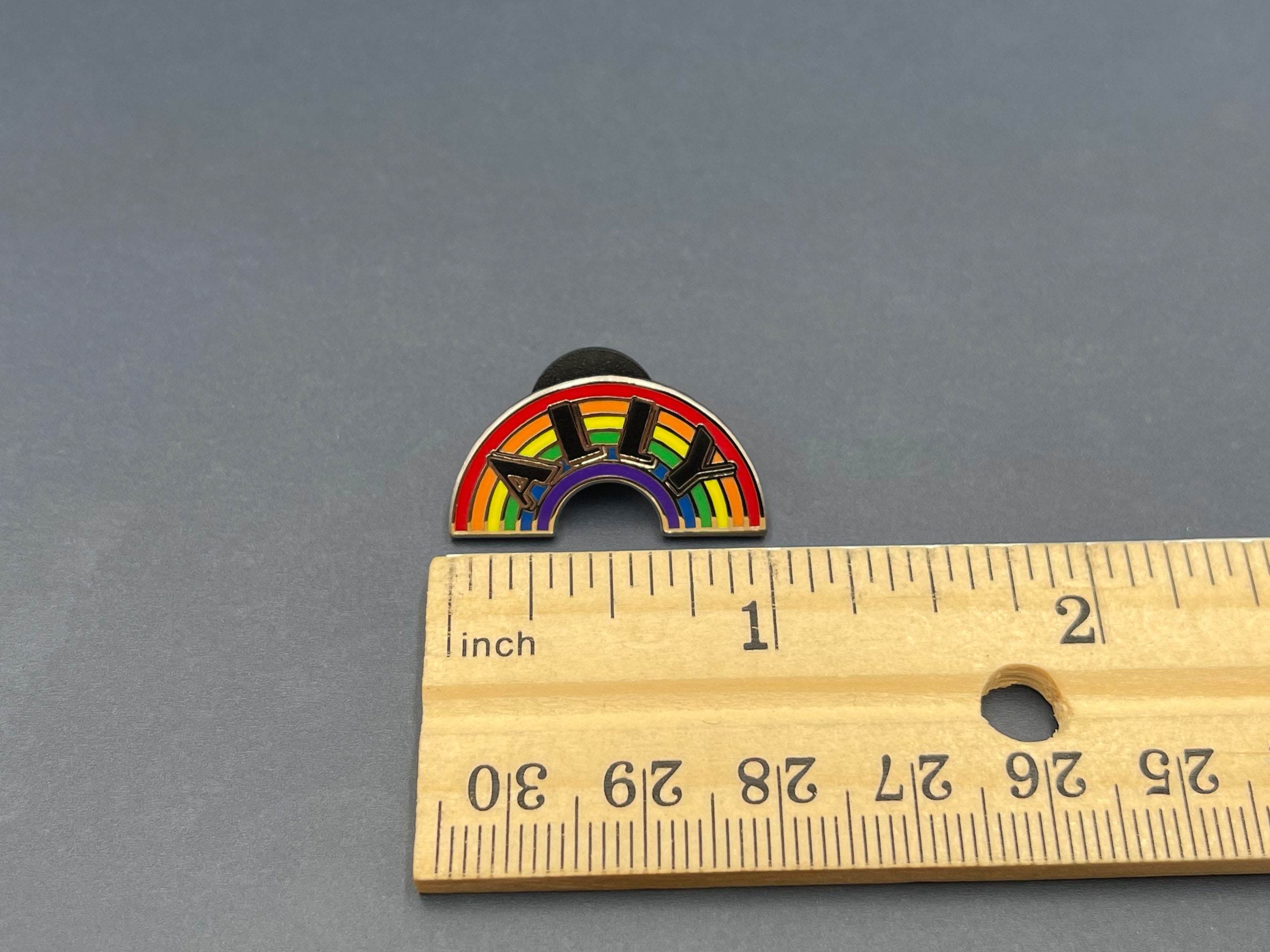LGBTQ+ Rainbow ALLY Pin Hard Enamel ALLY Lapel Pin Pride Month Pin - Etsy