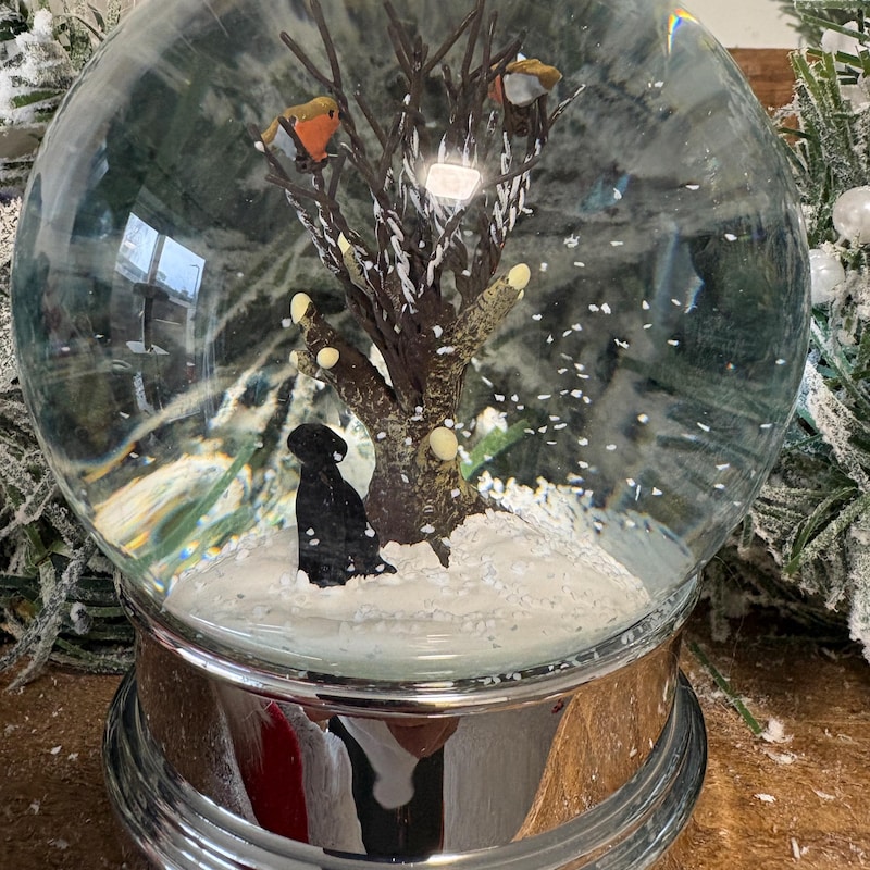 Snow Globe With Black - Etsy UK