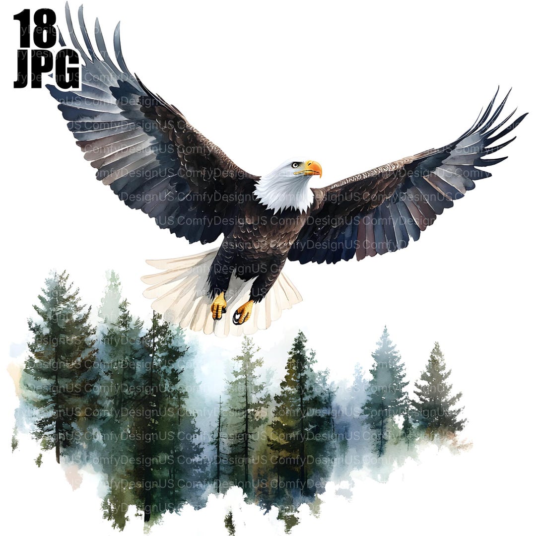 18 Bald Eagle Clipart, Eagle Images, Bird Clipart, High Quality JPG ...