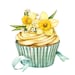 20 Spring Flowers Cupcake Clipart, Watercolor Cupcakes, High Quality ...