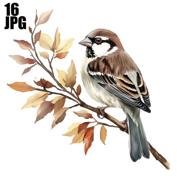 Sparrow Watercolor - Etsy
