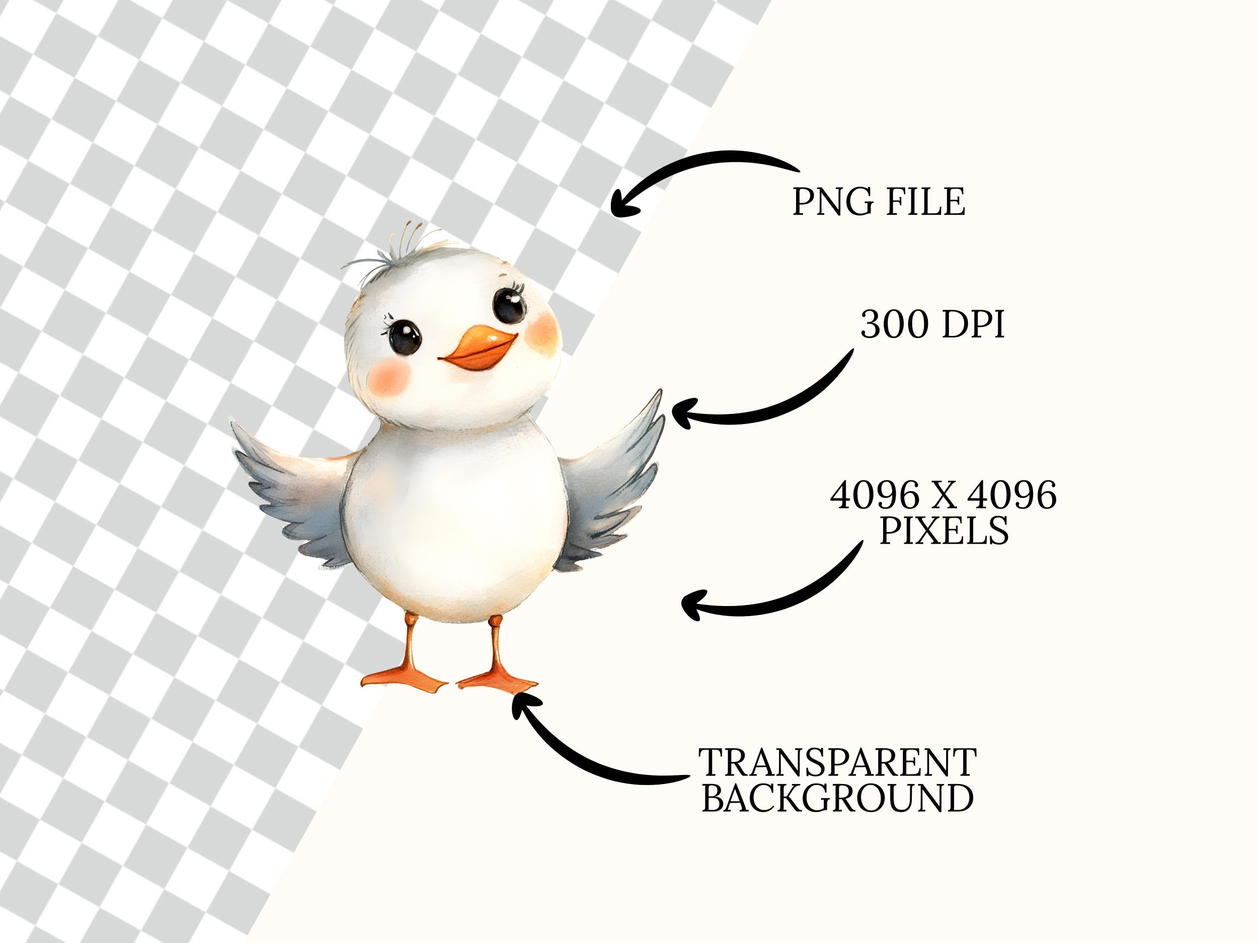 Seagull Clipart, Seagull Clip Art, Seagull Digital Paper, Seagull ...