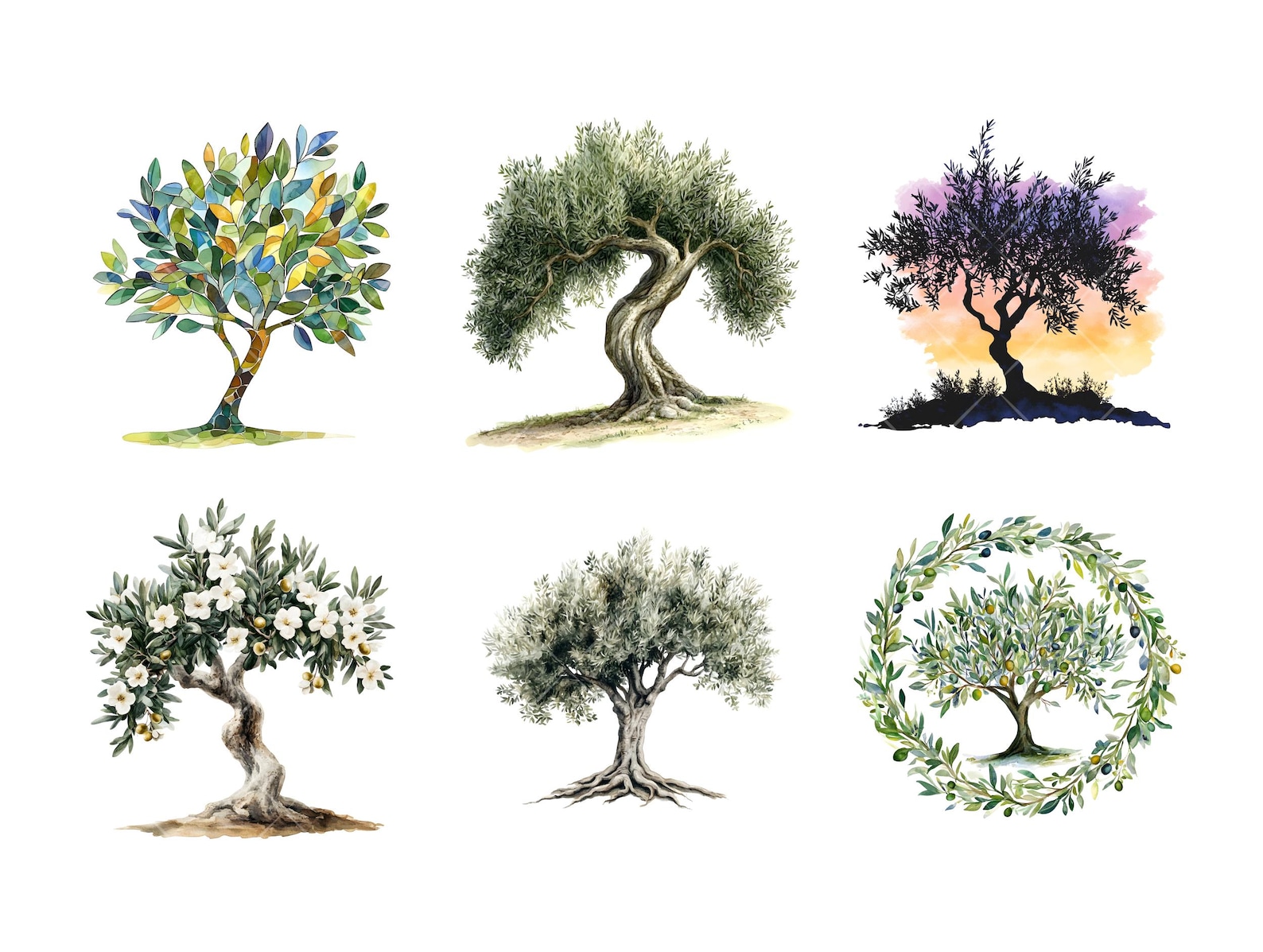 30 Olive Tree Clipart, Olive Tree PNG, Olive Tree Summer and Fall ...