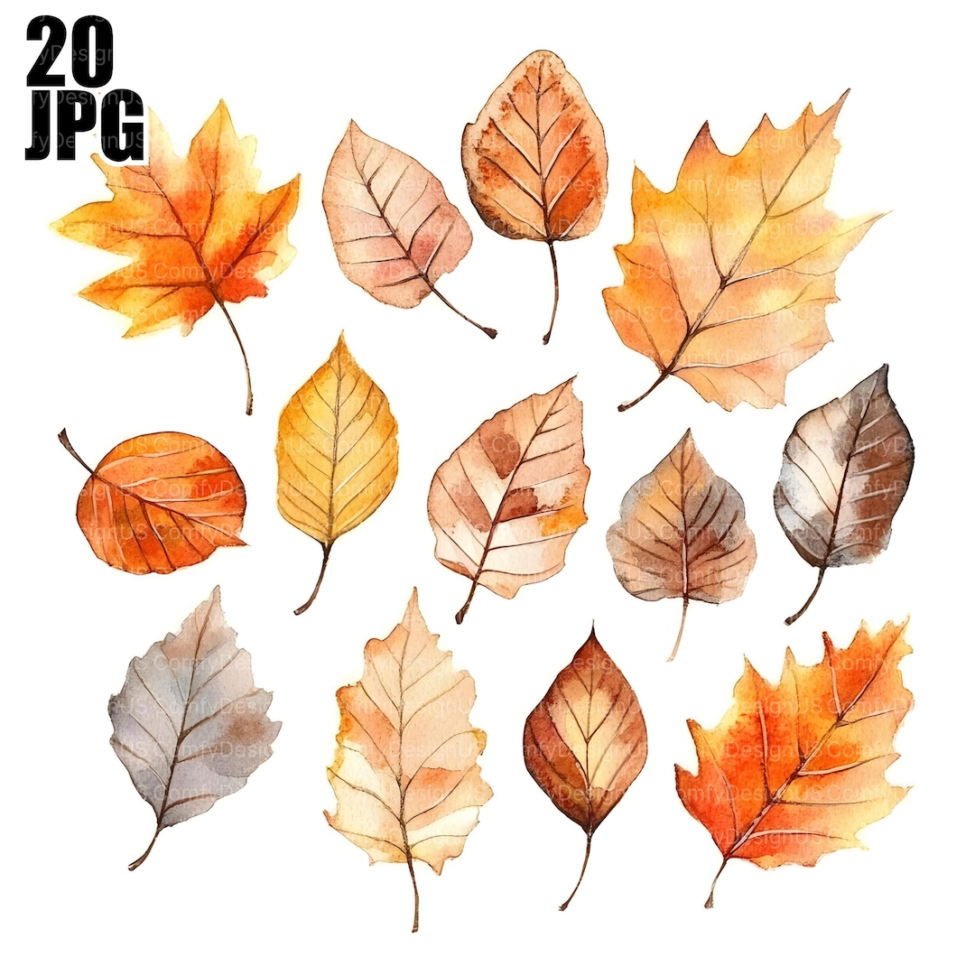 20 Autumn Leaves Boho Clipart, Boho Fall Leaves, Autumn Bouquet ...