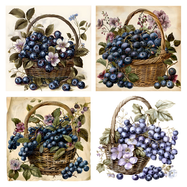 15 Basket of Blueberries Clipart, Farmhouse Blueberry, Shabby Chic ...