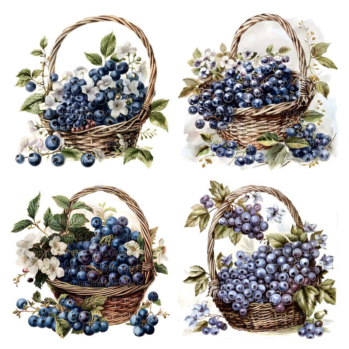 15 Basket of Blueberries Clipart, Farmhouse Blueberry, Shabby Chic ...