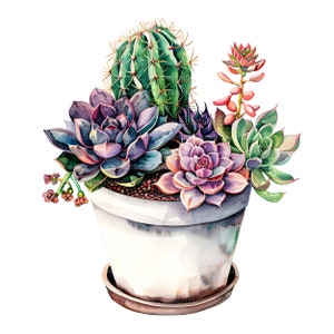 15 Potted Succulents Clipart, Succulent Pot, Plants Pots Clipart ...