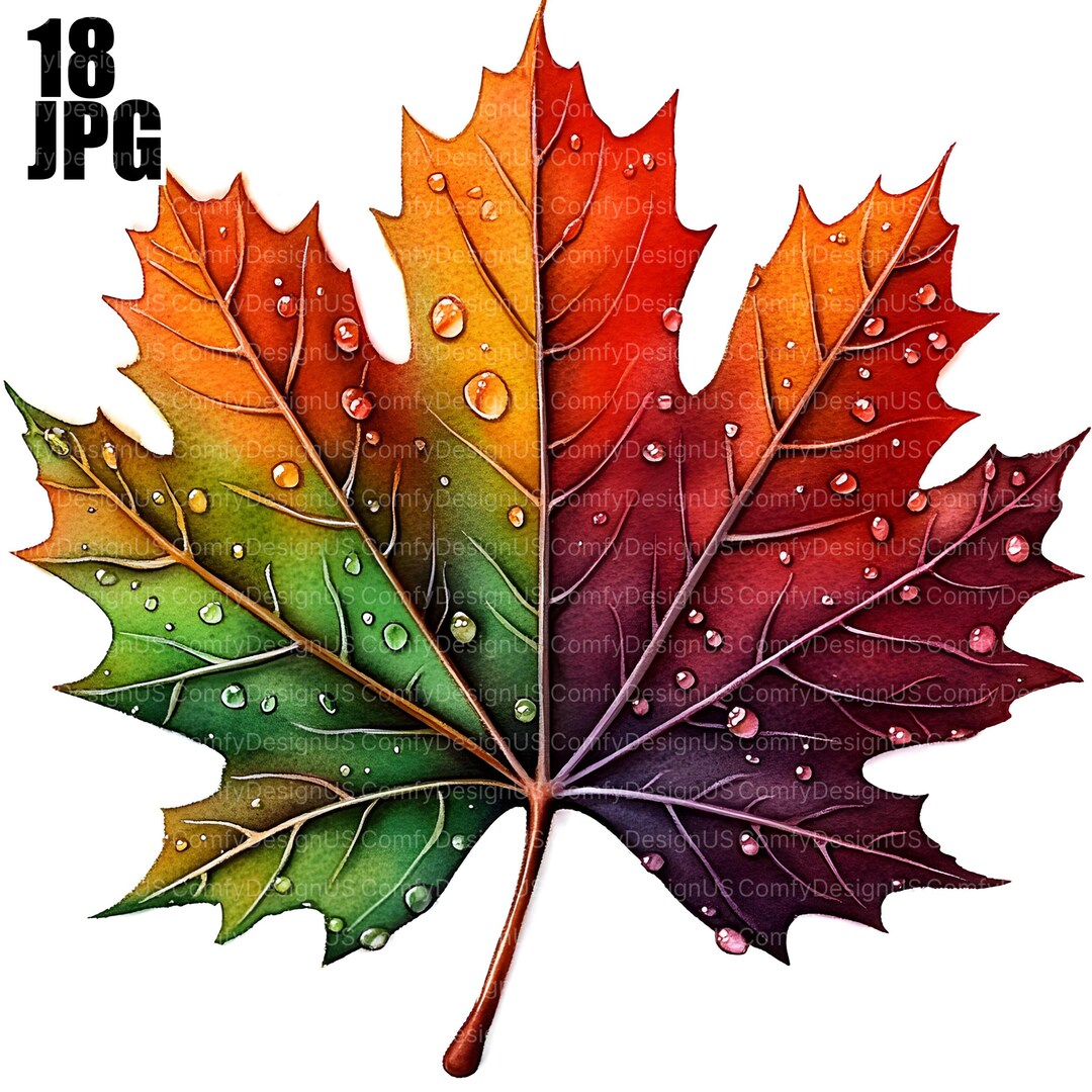 18 Maple Leaf Clipart, Fall Leaves Clipart, Autumn Leaf Clipart ...