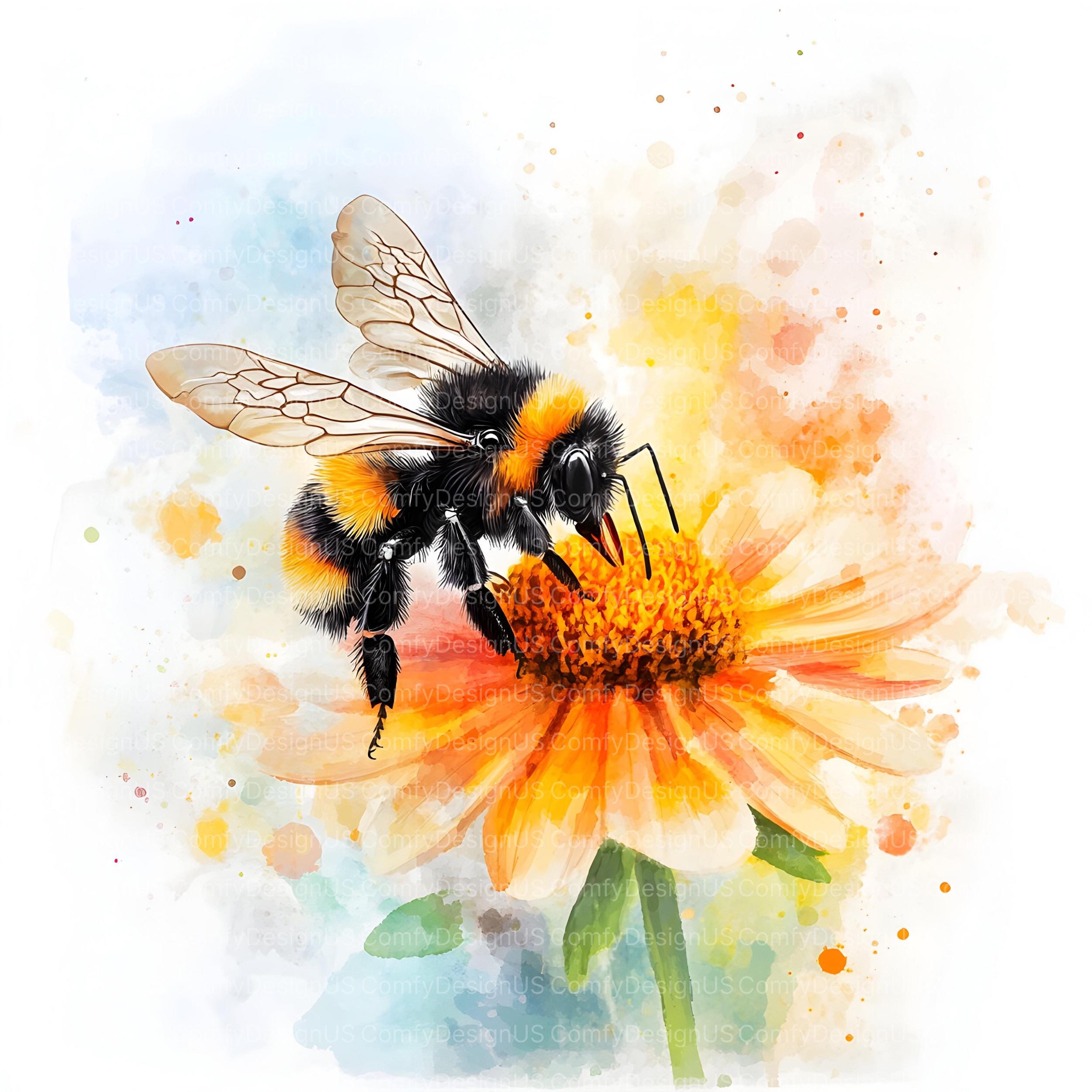 20 Bumblebee Clipart, Bee Clipart, Honey Bee Clipart, High Quality Jpgs ...