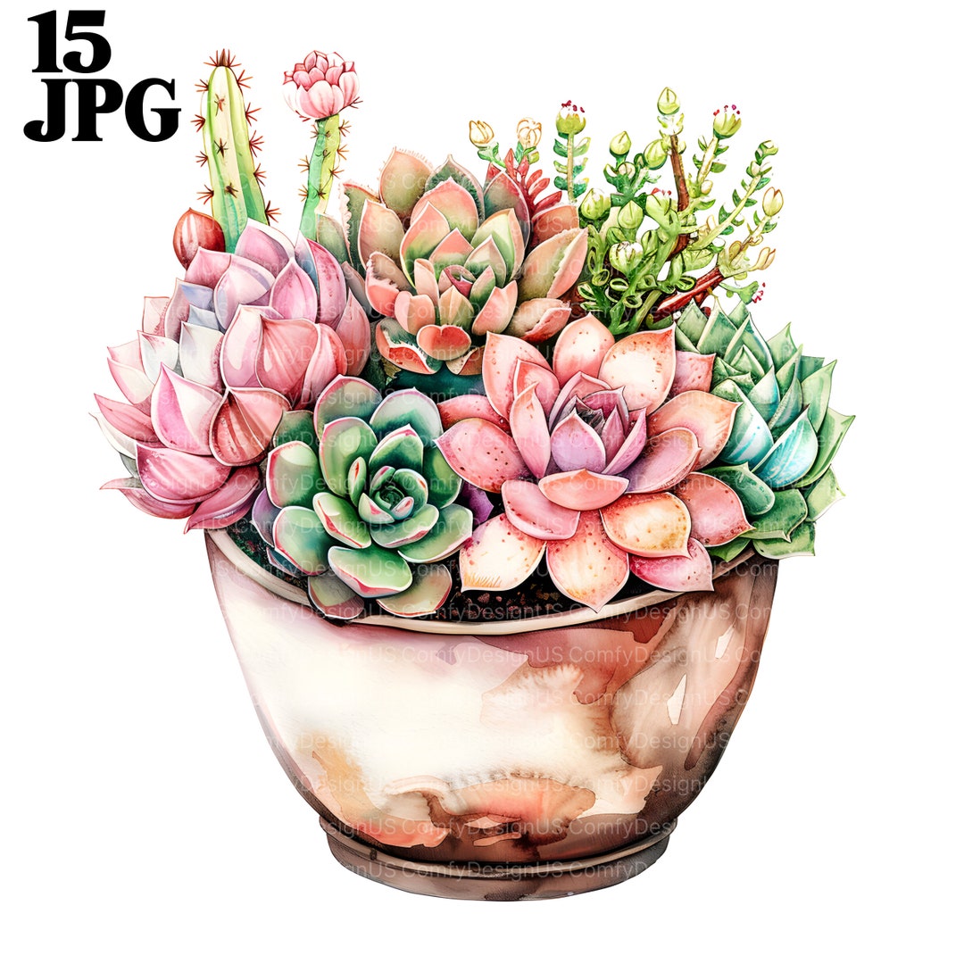 15 Potted Succulents Clipart, Succulent Pot, Plants Pots Clipart ...
