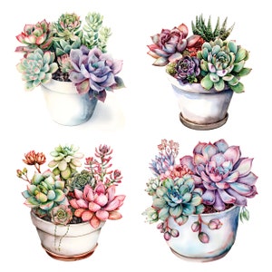 15 Potted Succulents Clipart, Succulent Pot, Plants Pots Clipart ...