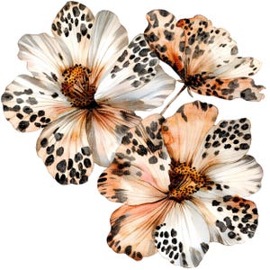 13 Leopard Flowers Clipart, Watercolor Flower Clip Art, Clipart Flowers ...