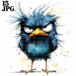 15 Grumpy Birds Clipart, Cute Fluffy Birds, Cartoon Birds, Printable ...