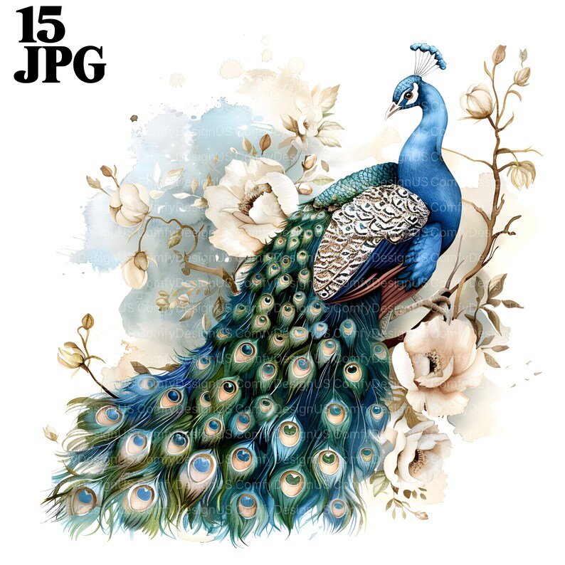 15 Adorable Peacock Clipart, Watercolor Peacock, Printable Watercolor ...