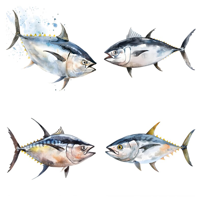 15 Tuna Fish Clipart, Fishing Clipart, Saltwater Fishing, Printable ...