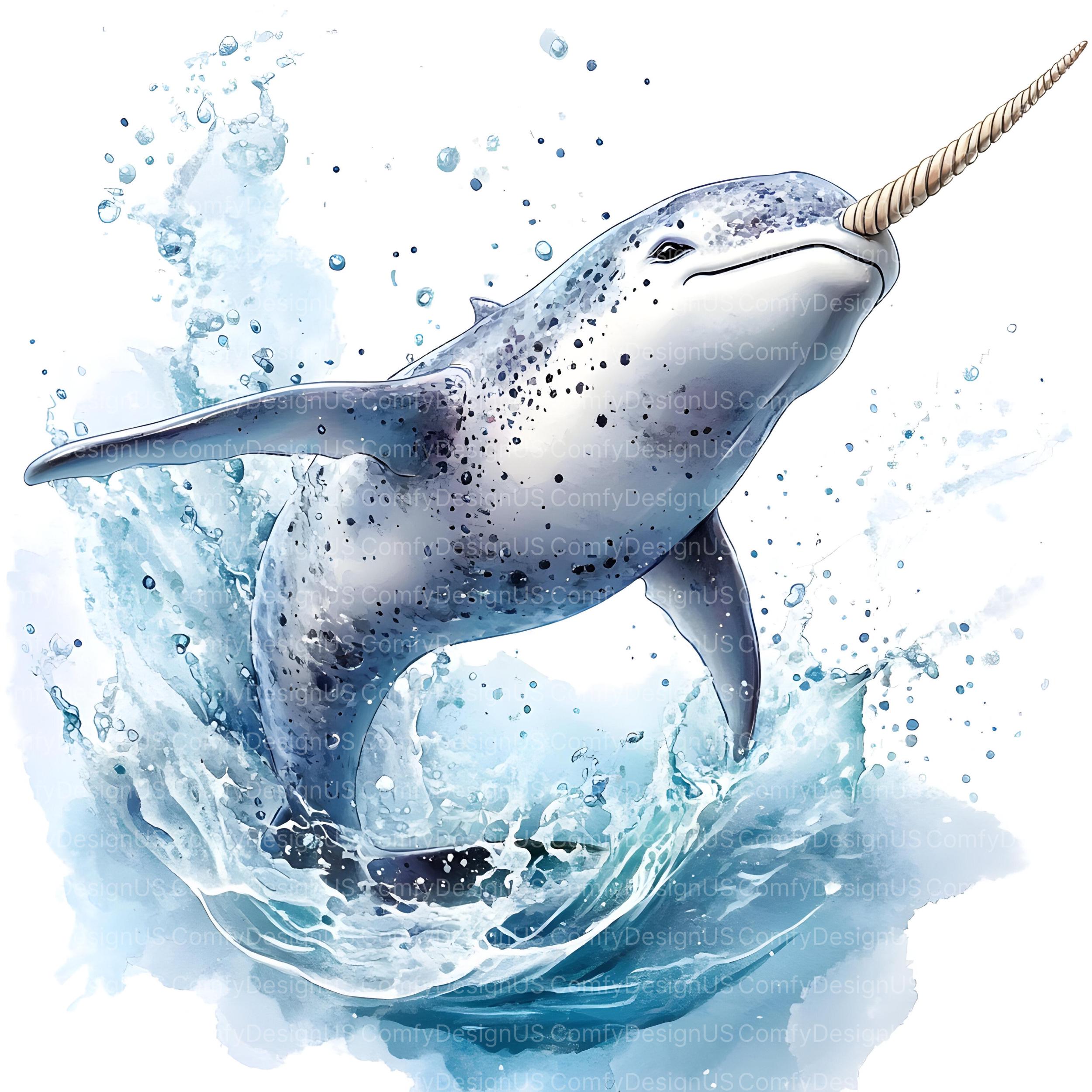 20 Narwhal Clipart, Marine Clipart, Sea Creature Clipart, Ocean Clipart ...