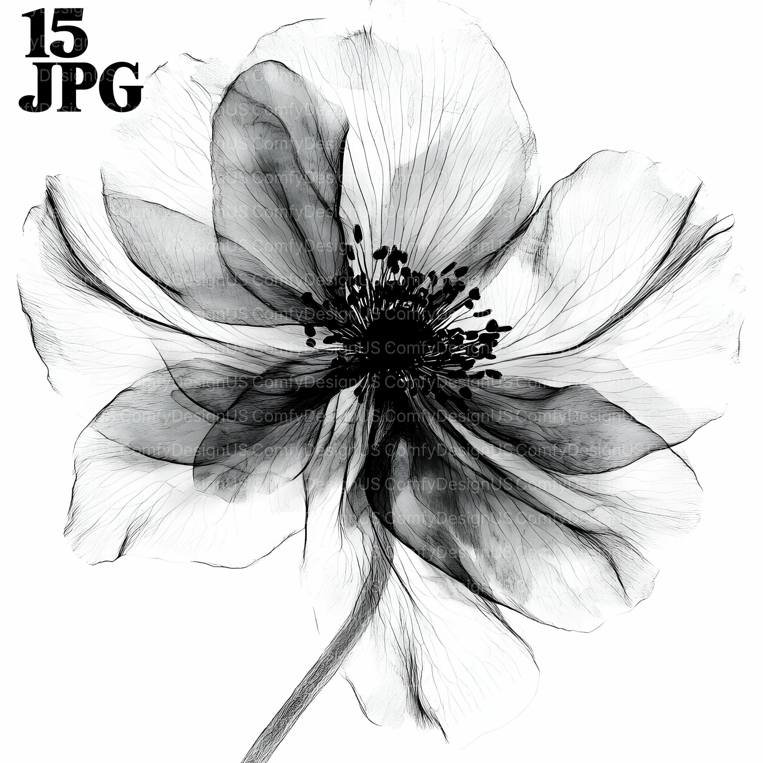 15 Abstract Black Flowers Clipart, Flowers Print, Black Flower ...