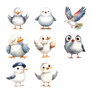 Seagull Clipart, Seagull Clip Art, Seagull Digital Paper, Seagull ...