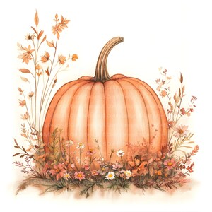 19 Floral Pumpkin Clipart, Boho Fall Wildflower, Fall Season Clipart ...