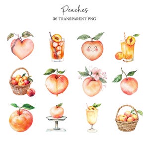 Watercolor Peach Clipart, Fruit Clipart, Sweet Peach PNG, Baby Peach ...