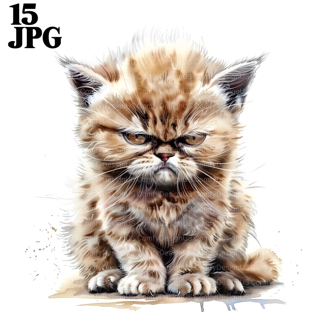 15 Grumpy Sad Kitten Clipart, Cat Clipart, Hissy Cat Image, Printable ...