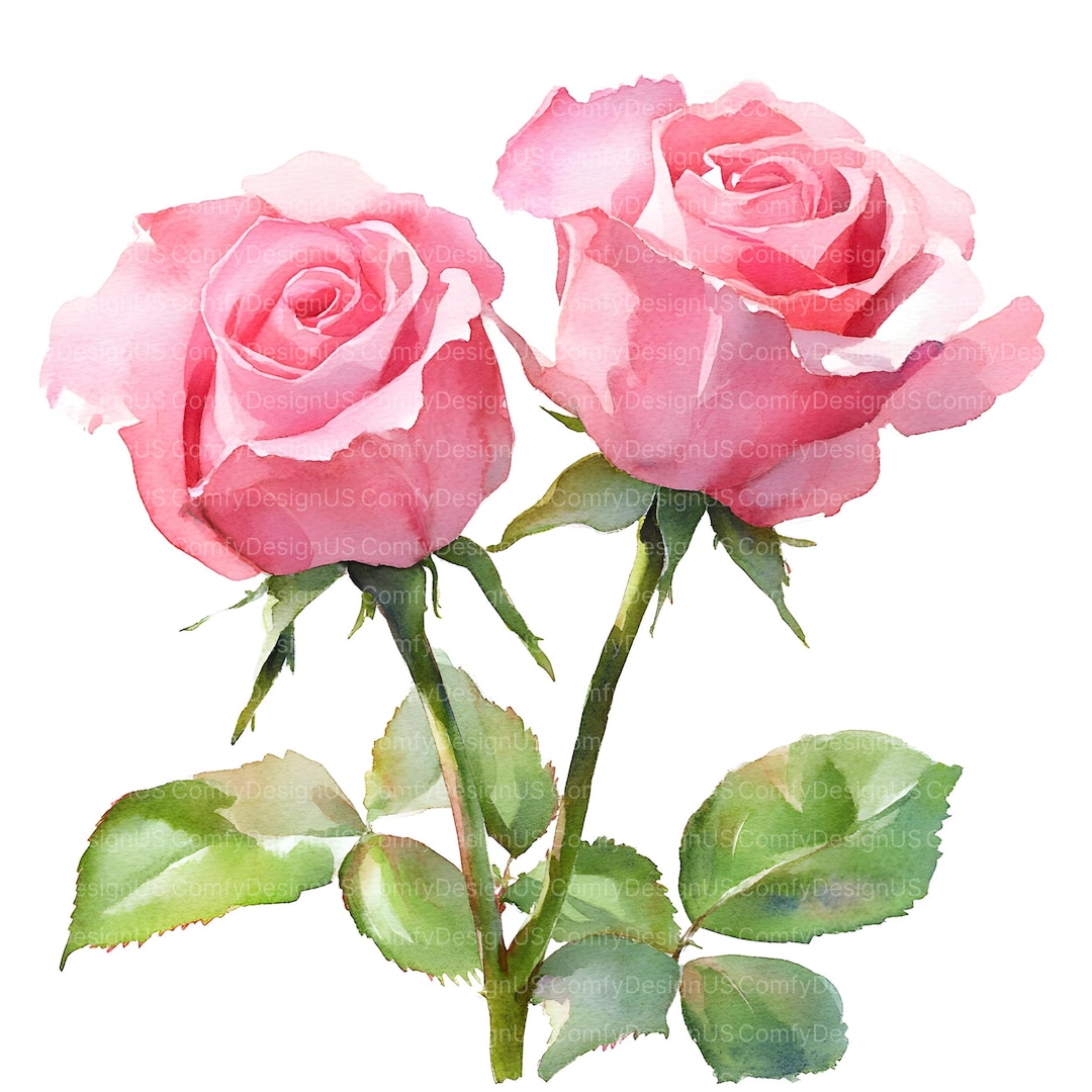 14 Pink Rose, Watercolor Pink Rose Clipart Bundle, Wedding Bouquet ...