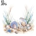 Seashells in a Bucket Clipart Bundle, Summer Sea Art, Bucket Clipart ...