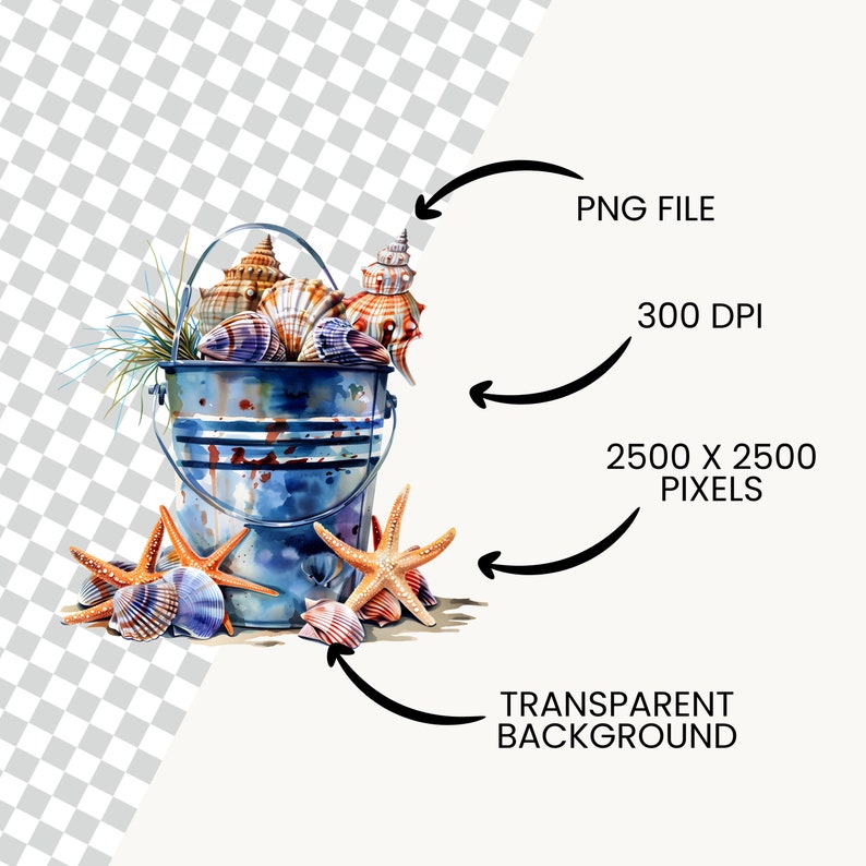 Seashells in a Bucket Clipart Bundle, Summer Sea Art, Bucket Clipart ...