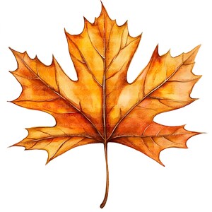 17 Maple Leaf Clipart, Foliage Clipart, Autumn Clipart, High Quality ...