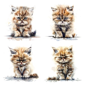 15 Grumpy Sad Kitten Clipart, Cat Clipart, Hissy Cat Image, Printable ...