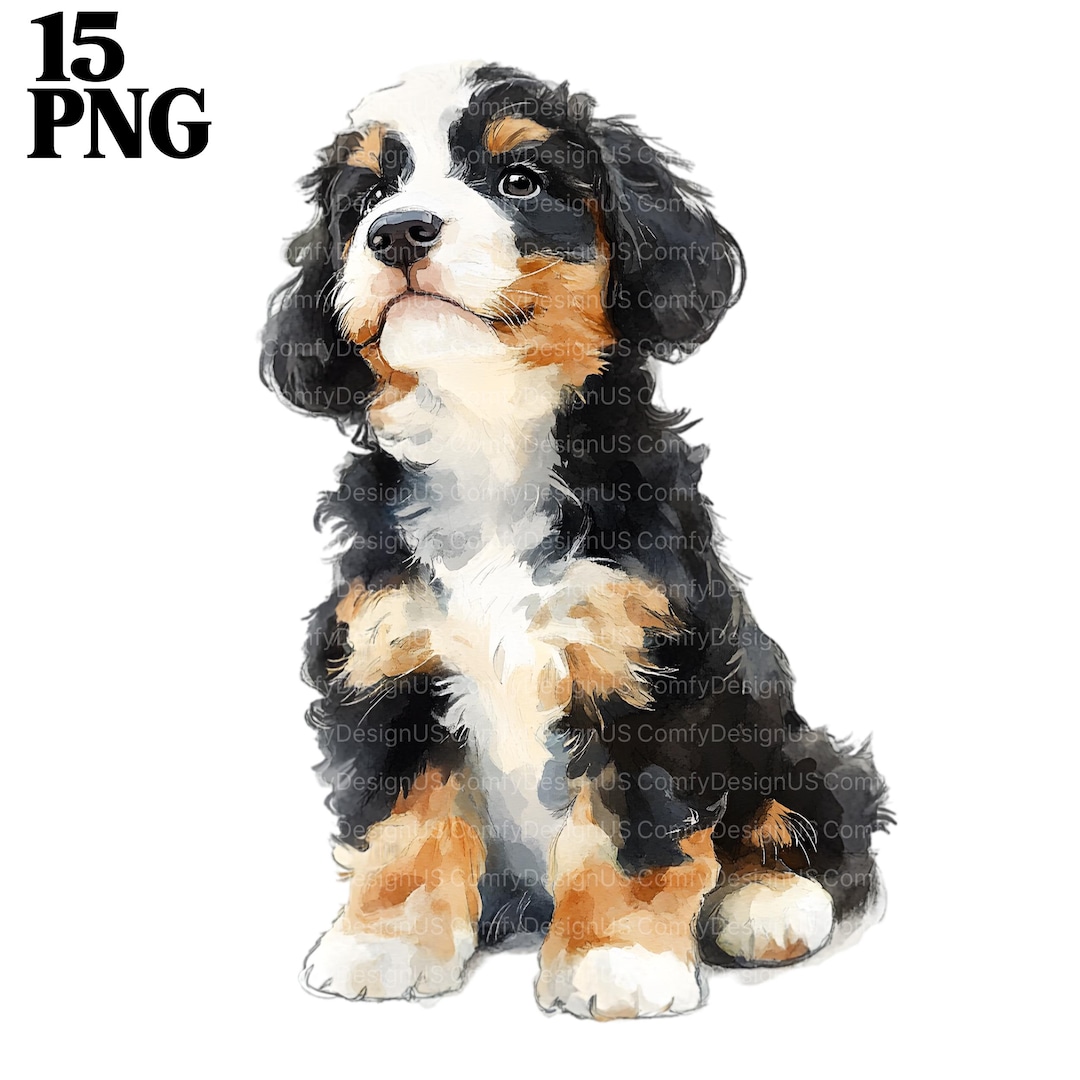 Bernedoodle Clipart, 15 High-quality Pngs, Cute Bernedoodle Clipart ...