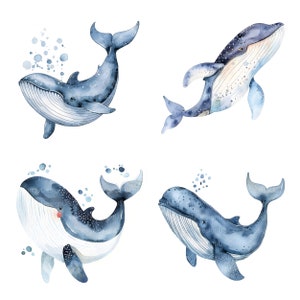 15 Cartoon Whale Clipart, Whale Nursery, Whale Illustration, Printable ...