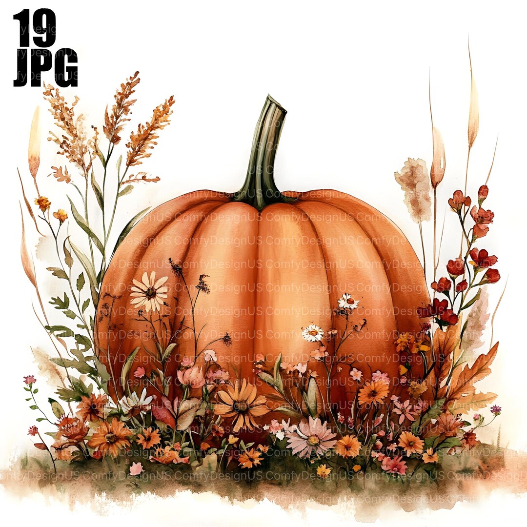 19 Floral Pumpkin Clipart, Boho Fall Wildflower, Fall Season Clipart ...