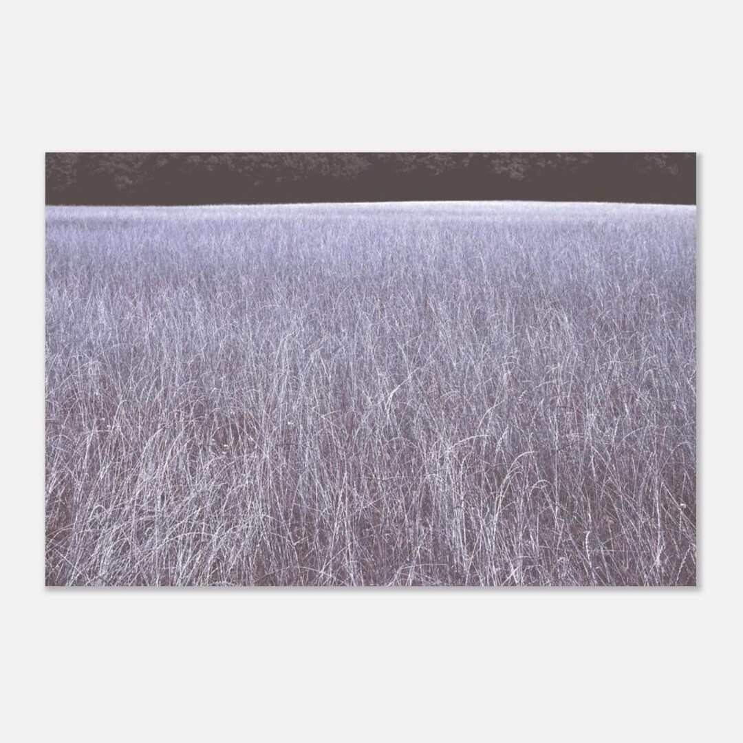 Blue Alien Fine Art Landscape 90x60 Cm / 36x24 Premium Matte Paper ...