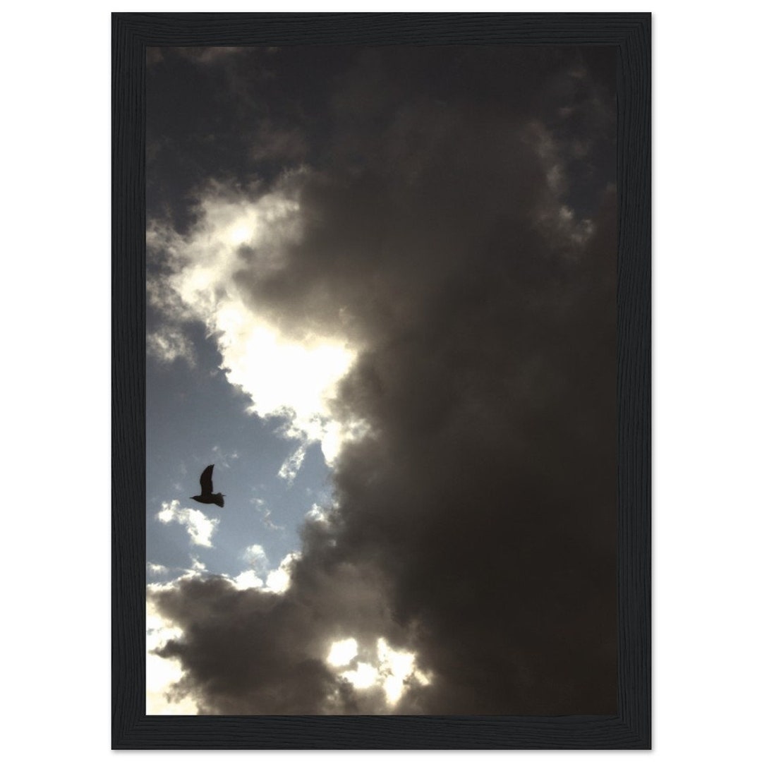 Lone Bird Flying Out of Storm Clouds 8x12 Inch Premium Matte - Etsy