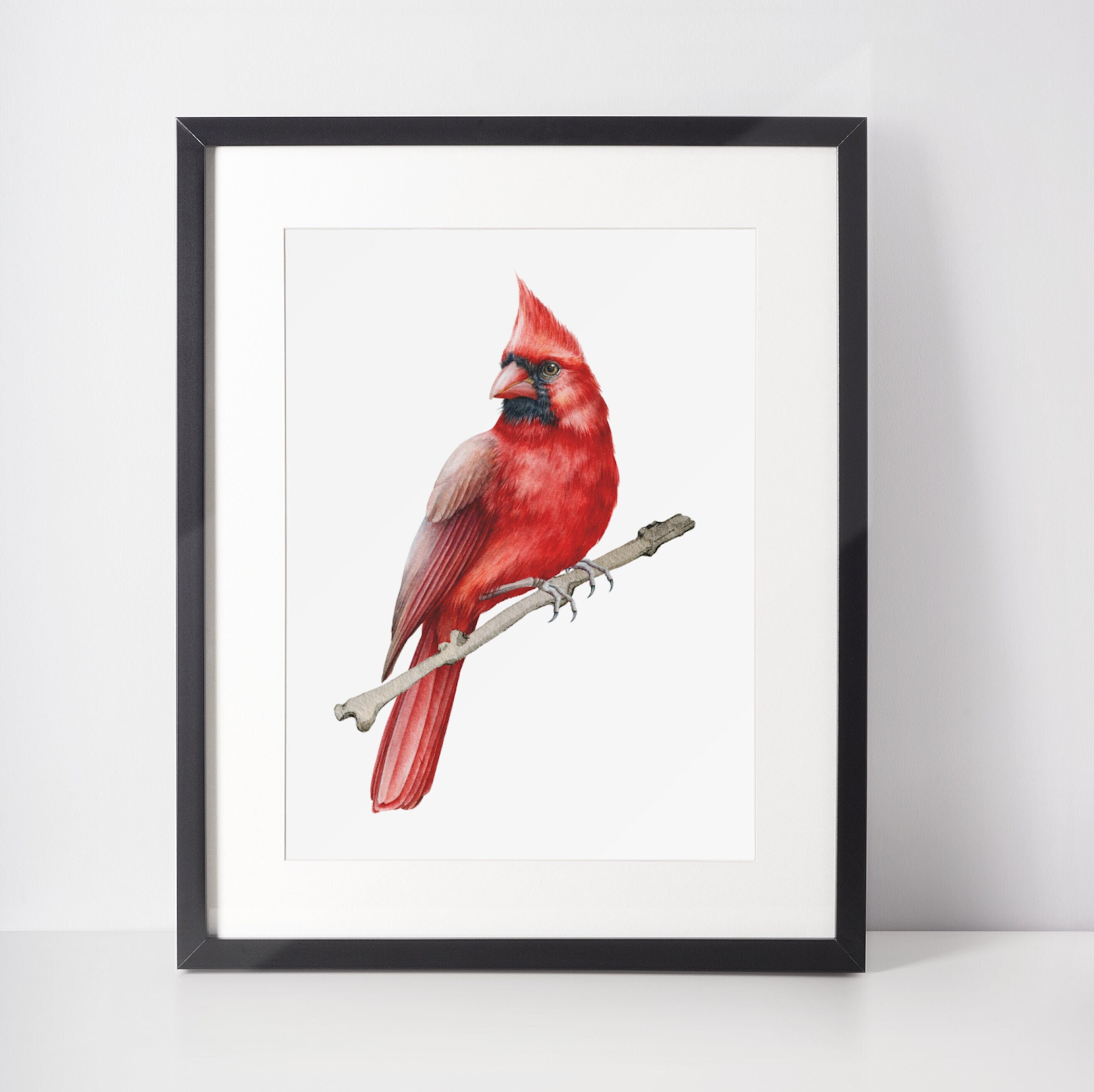 Red Cardinal Bird Wall Art Watercolor Illustration Print - Etsy