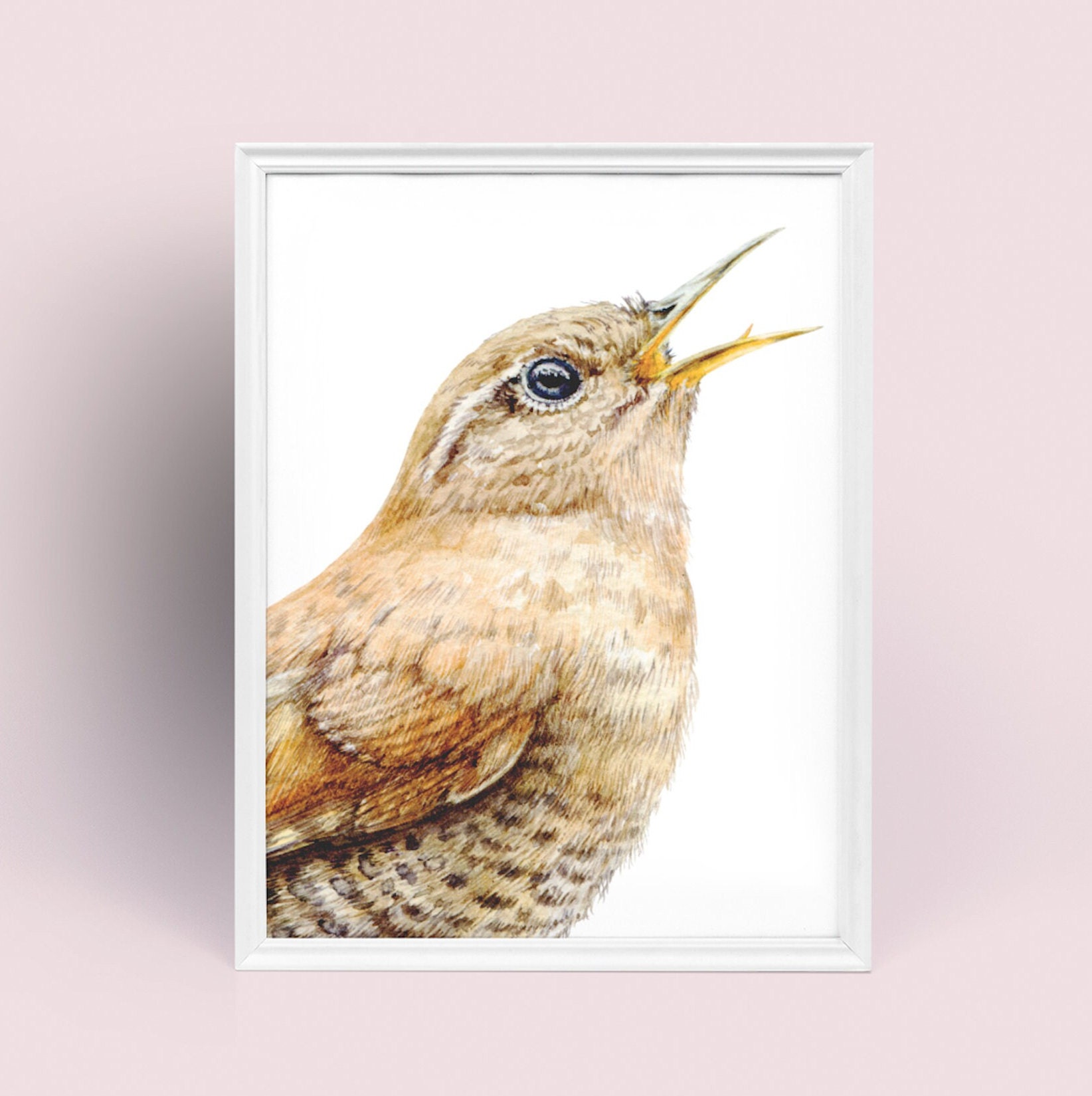 Watercolor Wall Art Wren Bird Illustration Print Poster Unframed - Etsy